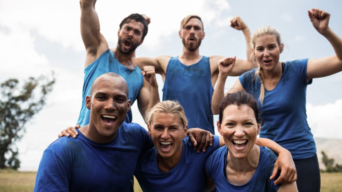 Offers for companies and organisations